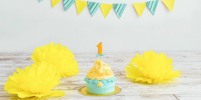 30 First Birthday Cake and Party Ideas [Easy] – Tip Junkie
