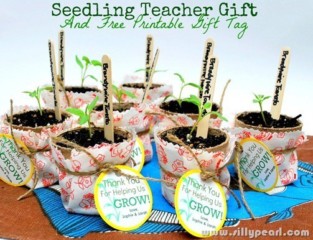 Seedling/Potted Plant Teacher Gift and Printable Tag – Tip Junkie