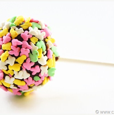 Cake Pops – Tip Junkie