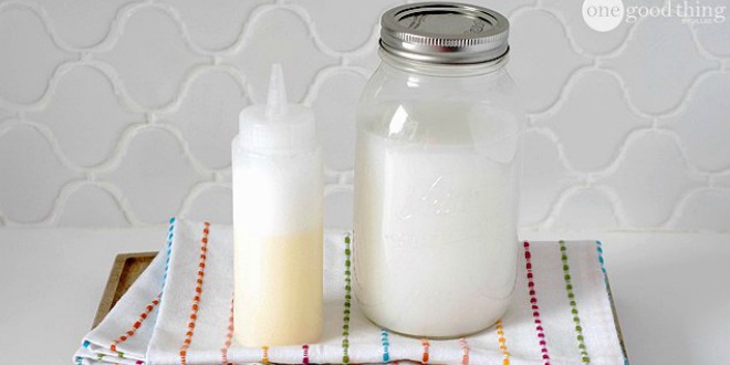 8 Homemade Shampoo Recipes for Beautiful Hair! – Tip Junkie