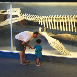 5 Tips for Traveling With an Active Toddler – Tip Junkie