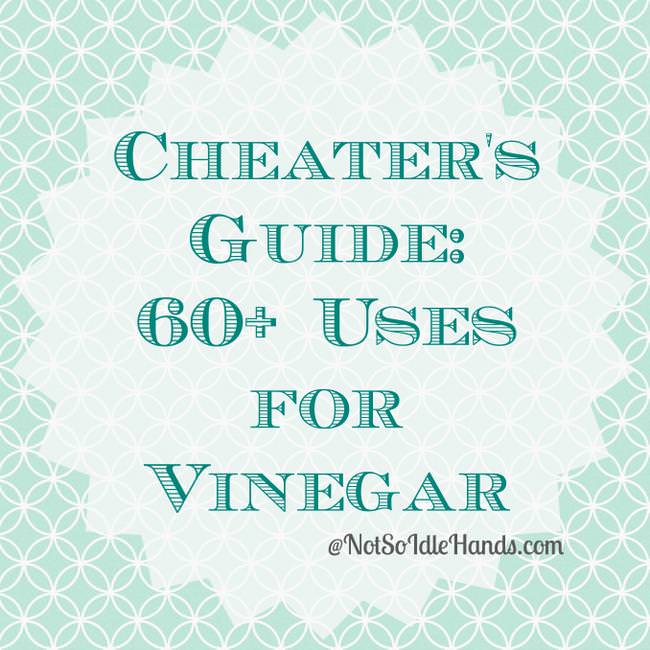 Cheater’s Guide ~ 60+ Uses For Vinegar and Freebie Printable! – Tip Junkie