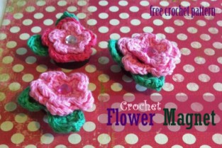 Crochet Flower Magnet Pattern – Tip Junkie