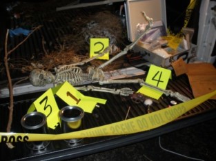 27 Clever Trunk or Treat Ideas – Tip Junkie