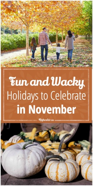 Fun and Wacky Holidays to Celebrate in November! [printable] – Tip Junkie