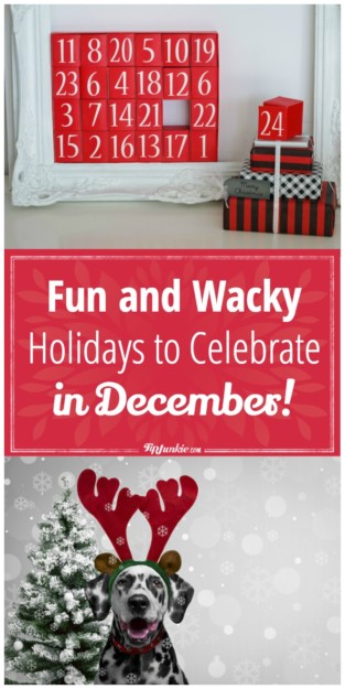 Fun and Wacky Holidays to Celebrate in December! [printable] – Tip Junkie