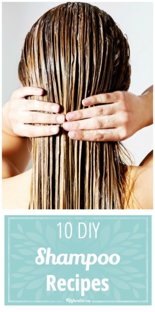 10 DIY Shampoo Recipes – Tip Junkie