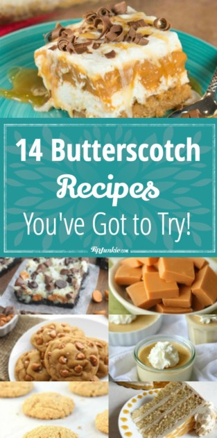 14 Butterscotch Recipes You’ve Got to Try! – Tip Junkie