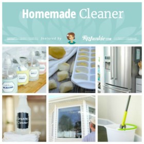 18 Homemade Cleaner Recipes {clean} – Tip Junkie