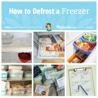 Top 10 Tips For Defrosting and Organizing Your Freezer – Tip Junkie