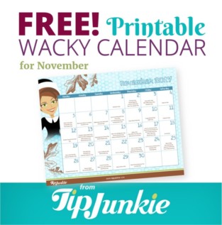 Fun and Wacky Holidays to Celebrate in November! [printable] – Tip Junkie