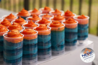 26 Brilliant Nerf War Party Ideas for the Ultimate Battle – Tip Junkie