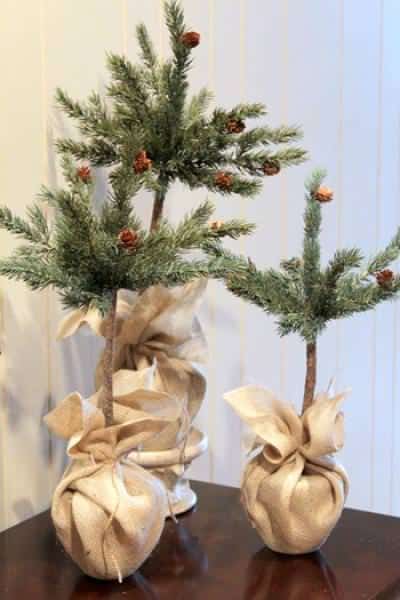 Pine Tree Topiary {tutorial} – Tip Junkie