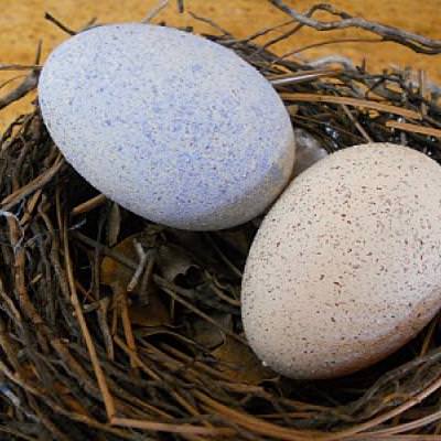 DIY Speckled Robin Egg {How to Guide} – Tip Junkie