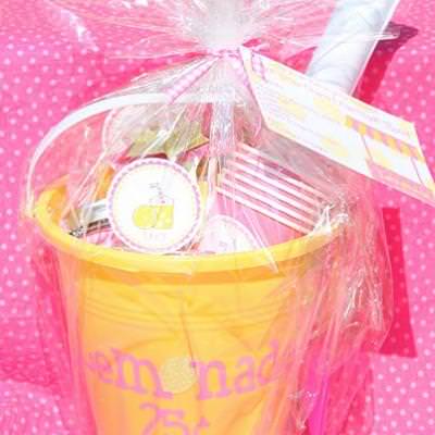 DIY Lemonade Stand Kit – Tip Junkie