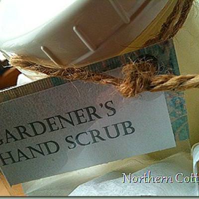 Gardener’s Hand Scrub {Recipe How-To} – Tip Junkie