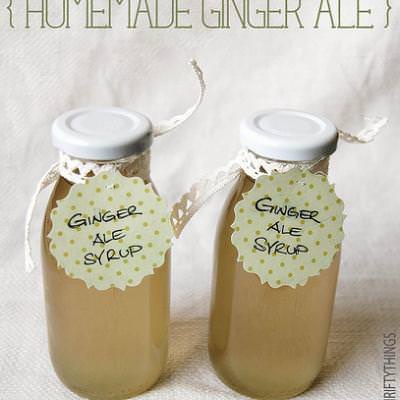 Homemade Ginger Ale Syrup {Recipe} – Tip Junkie