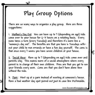 How To Organize a Play Group {Parenting} – Tip Junkie