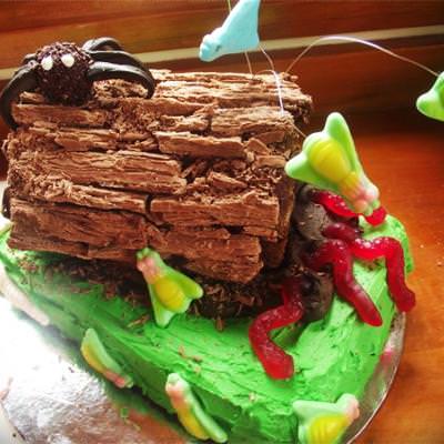 How to Throw a Boy vs Wild Adventure Party {Free Printables} – Tip Junkie