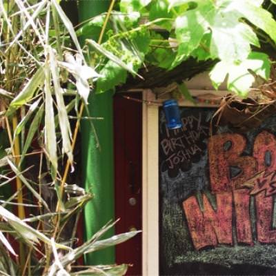 Boy vs Wild Adventure Party {Themed Party Idea} – Tip Junkie