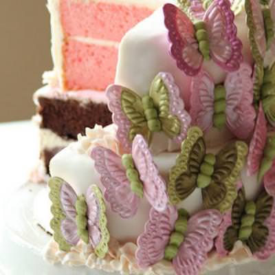 Butterfly Tea Party {Garden Party Themes} – Tip Junkie