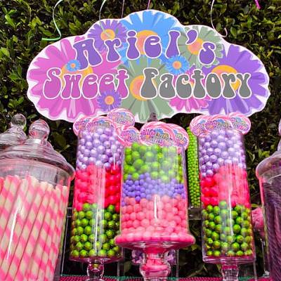 Sweet Factory Birthday Party – Tip Junkie
