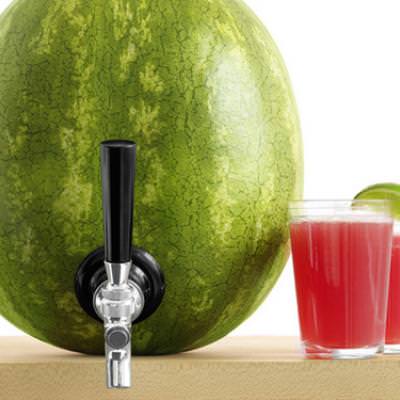 Watermelon Drink Dispenser {How-To} – Tip Junkie