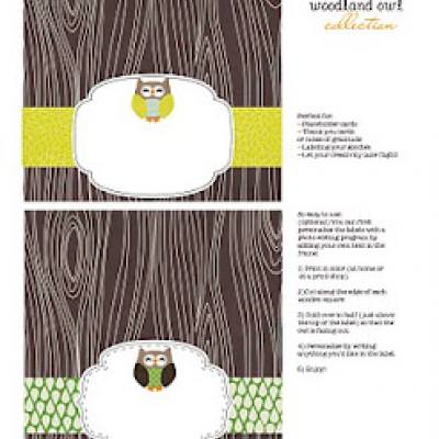 Owl Themed Party Printables – Tip Junkie