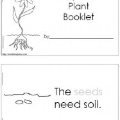 Plants Worksheet Booklet – Tip Junkie